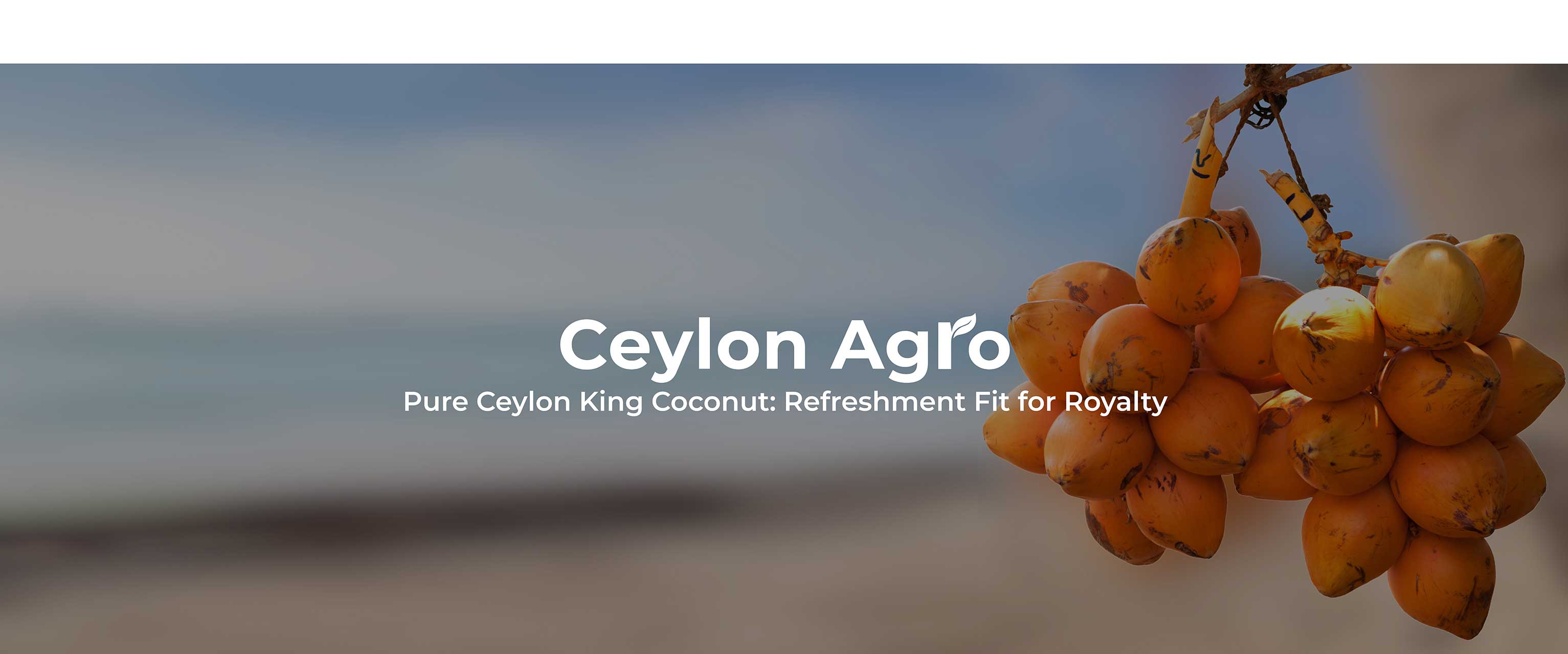 The Ceylon Agro